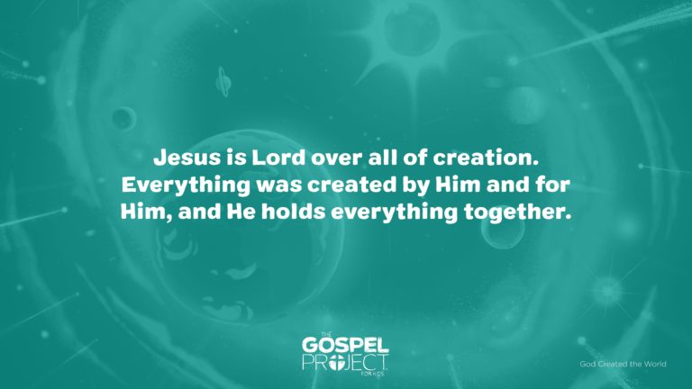 The Gospel Project - The Gospel Project