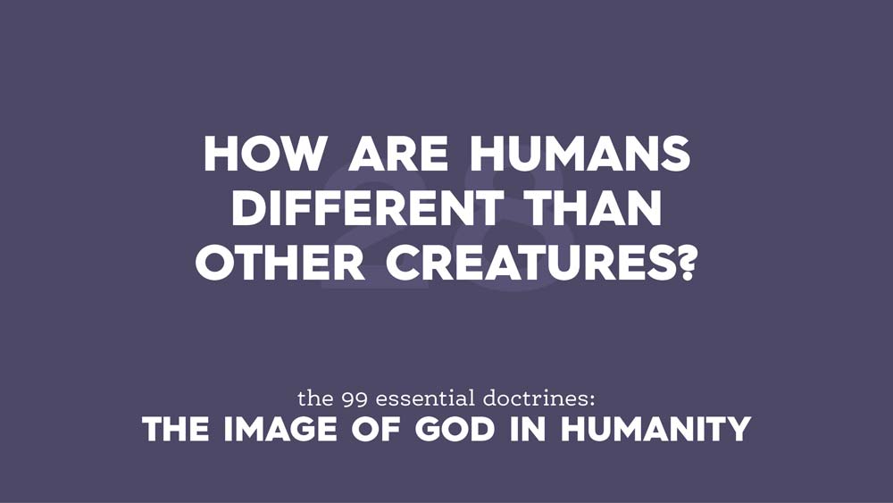 The Gospel Project - The Gospel Project